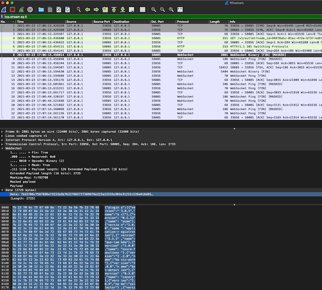 How to debug the Control Plane/DataPlane web socket communication