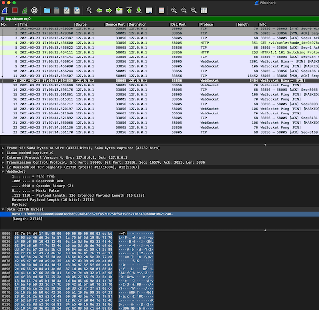 How to debug the Control Plane/DataPlane web socket communication