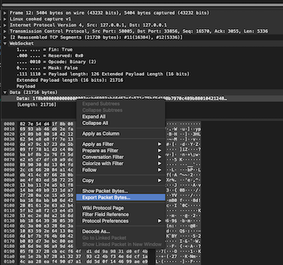 How to debug the Control Plane/DataPlane web socket communication