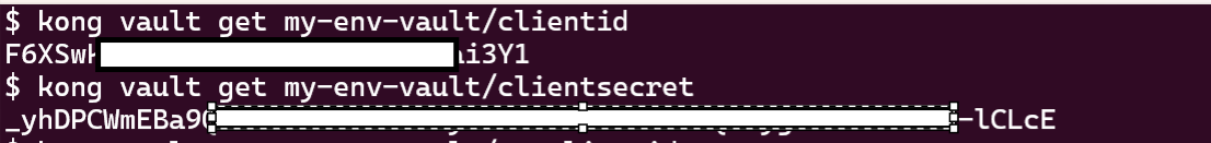 Kong Gateway: Error with environment variables vault : could not find cached values